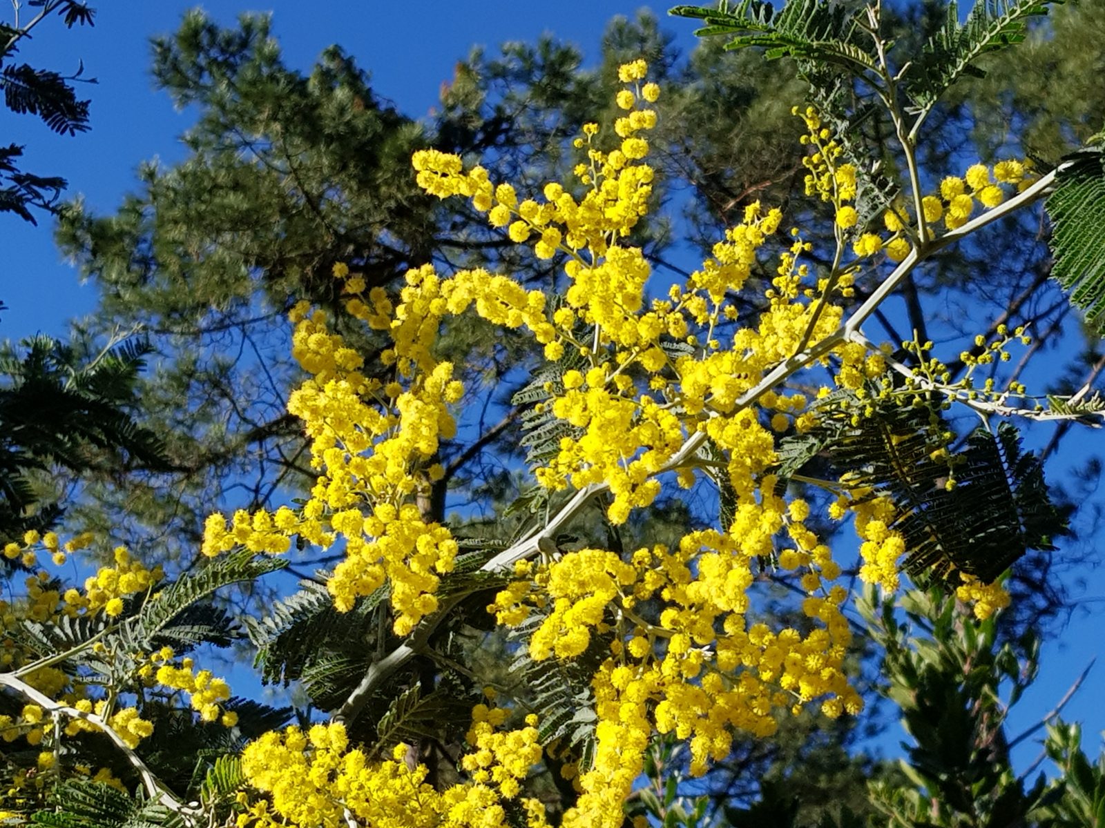 News - février 2020 - Village Vacances La Jenny