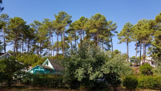Naturist village La Jenny with direct access to the ocean in France
