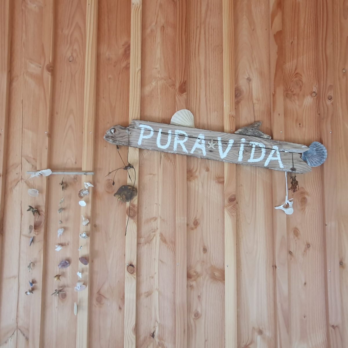 News - novembre 2020 - Village Vacances La Jenny